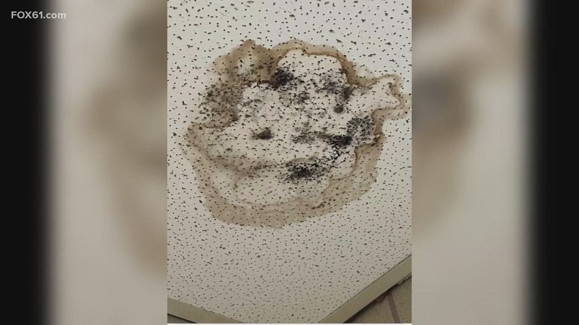 Photos of mold at Windsor elementary school have parents alarmed ...
