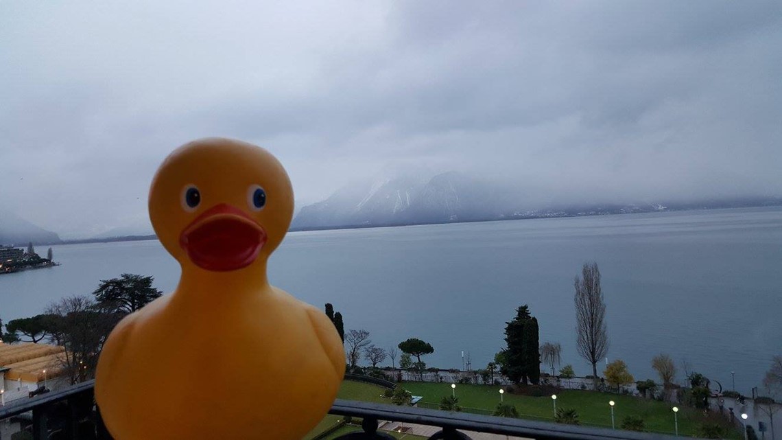 Stolen rubber duck returns after odd globe-trotting mystery | fox61.com