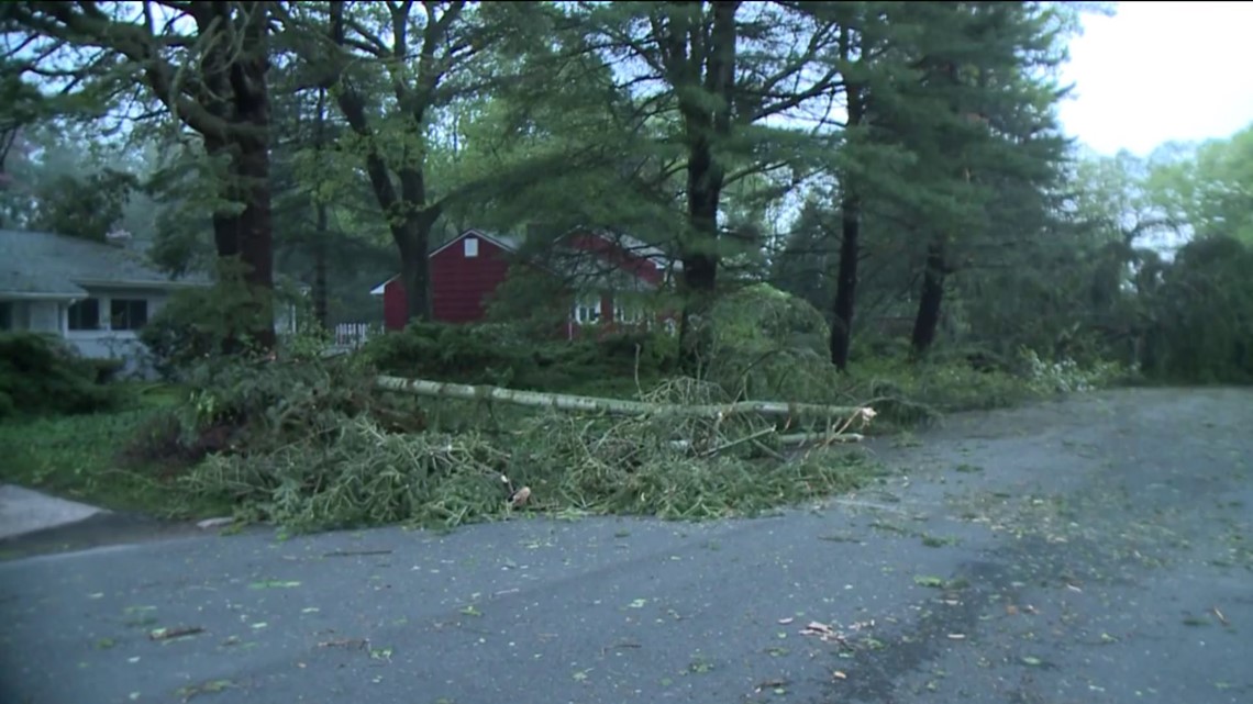 Hamden cleans up from storm impact | fox61.com