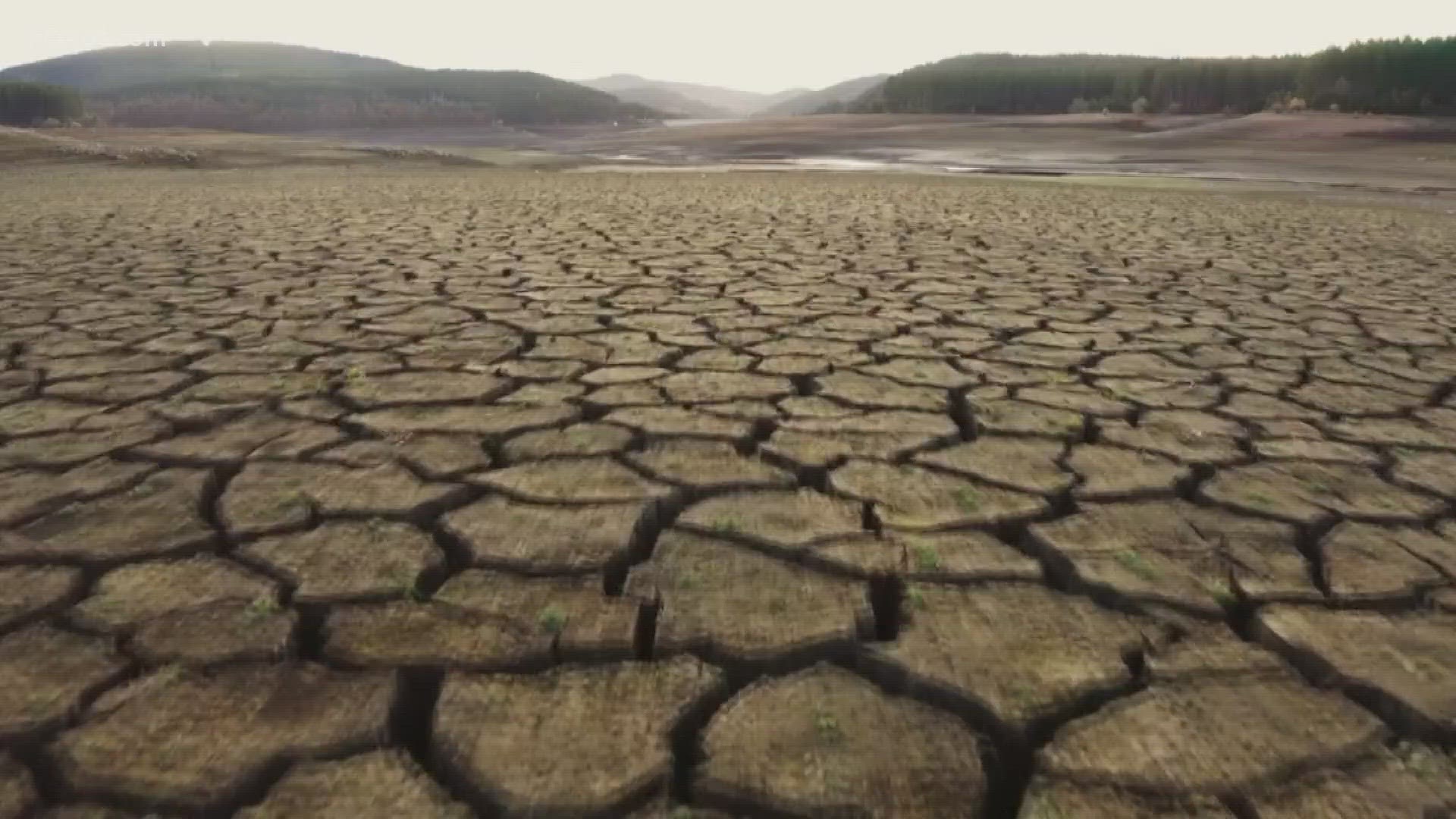 Special screening of Oscar-nominated documentary 'Uncharitable' | fox61.com