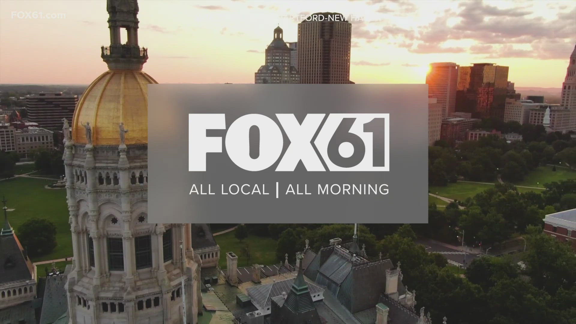 Michigan's lieutenant governor drops gubernatorial bid and launches ...