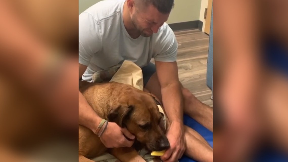 ‘One of toughest goodbyes’: Tim Tebow shares heartbreaking video ...