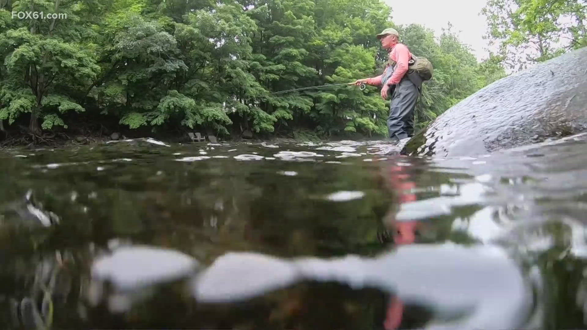 CT DEEP invites people of all ages to enjoy Spring Fishing Day on ...