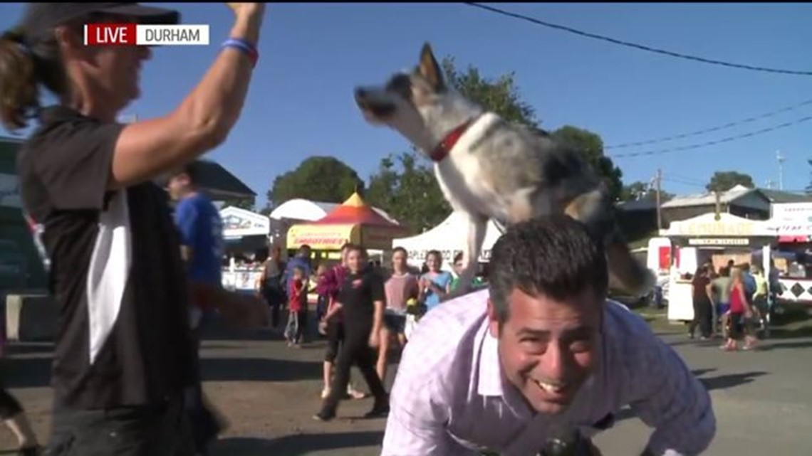 Durham Fair brings barn staples, Foreigner and fun to the Fairgrounds ...
