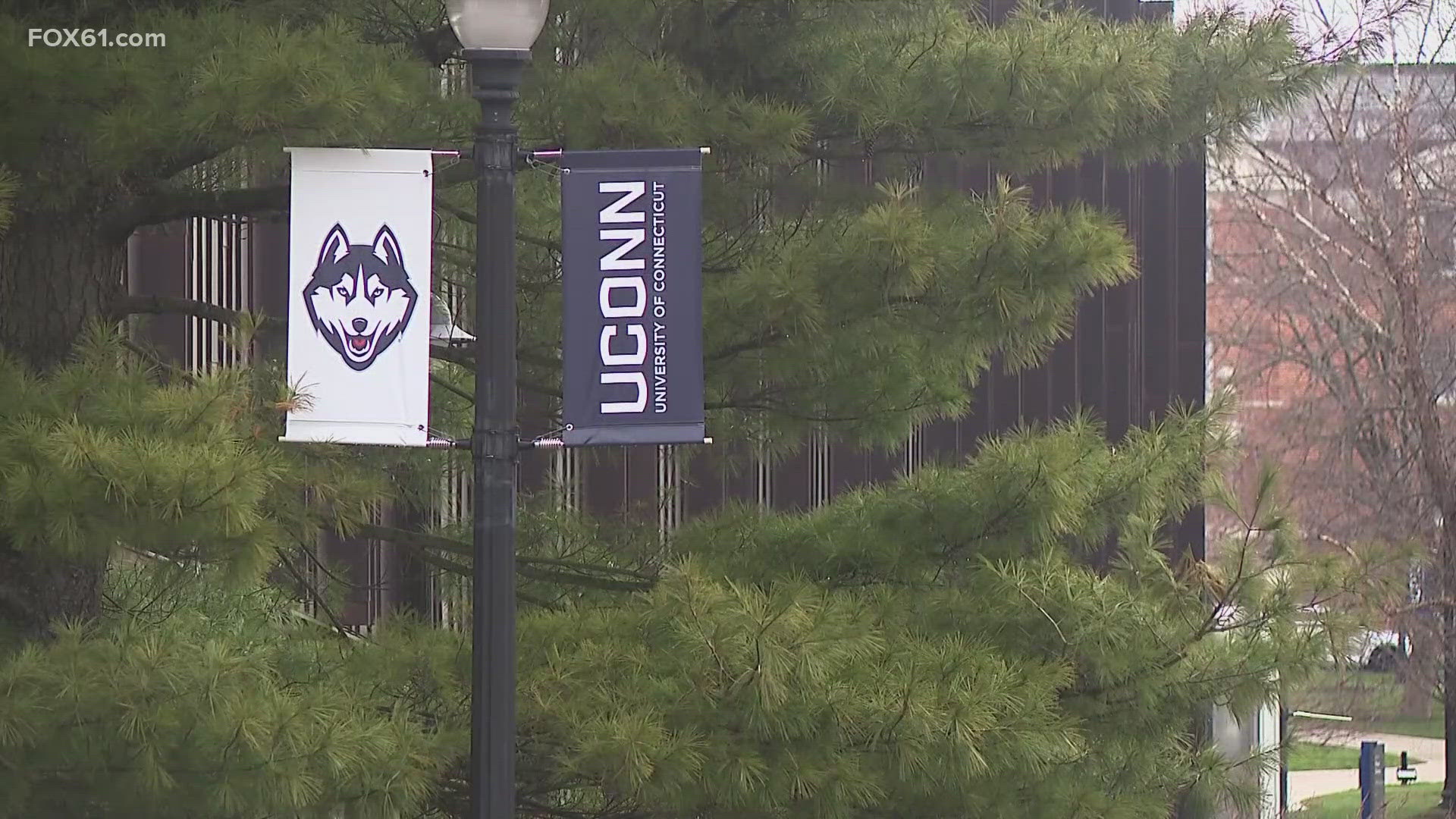 Top UConn players who went on to the NBA, WNBA | fox61.com