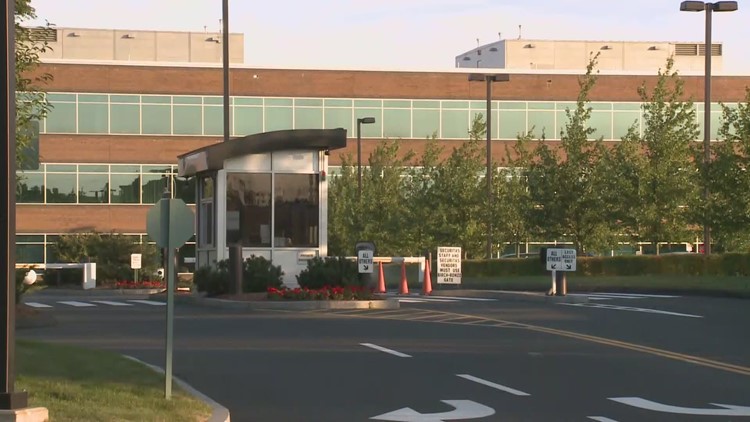 Rachel Piscitelli | fox61.com