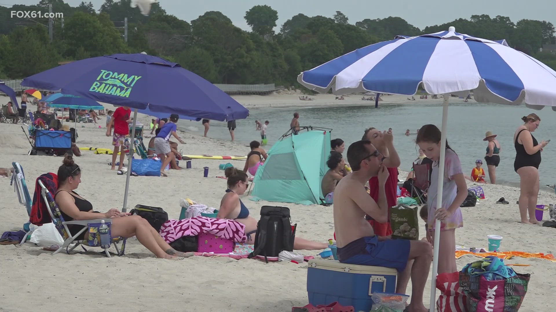 Rocky Neck State Park beach in CT reopens after high bacteria levels ...