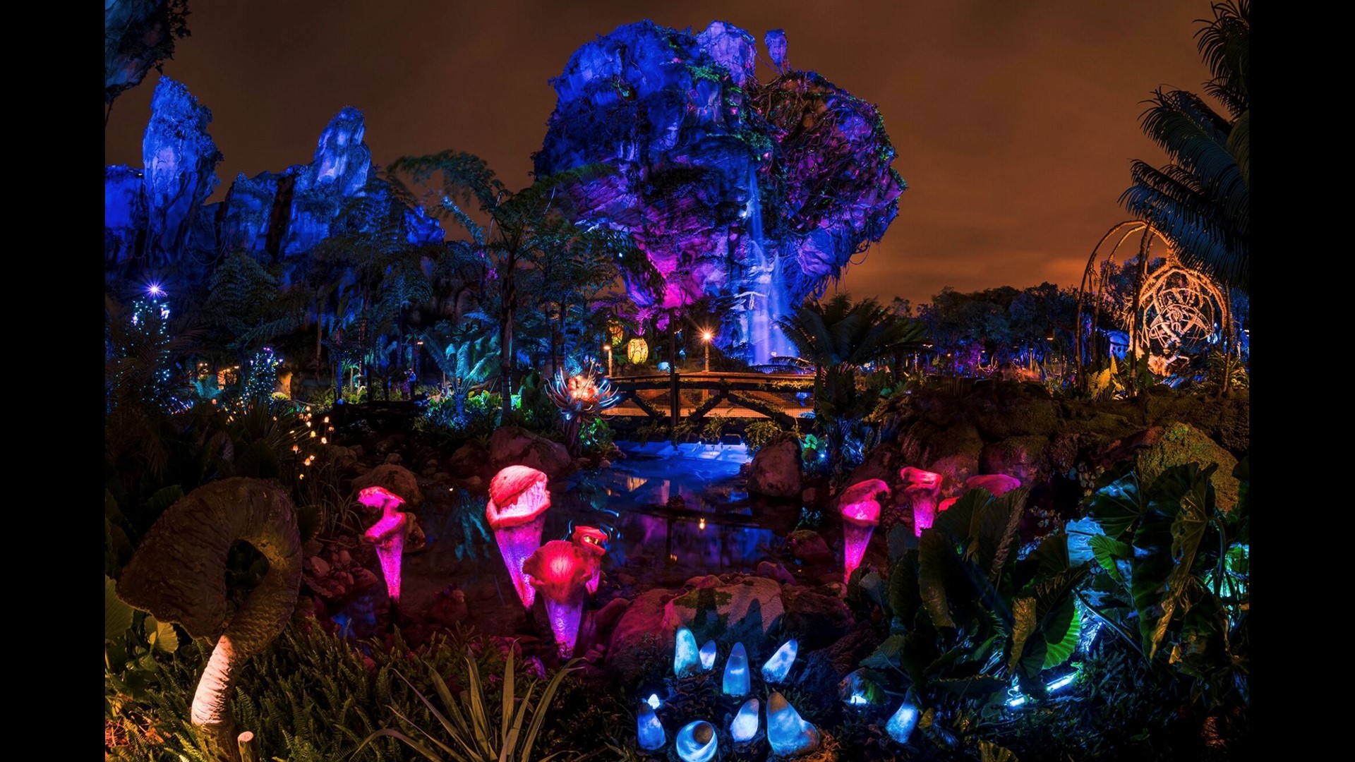 13 stunning photos of Disney’s ‘Pandora: The World of Avatar’ at night ...