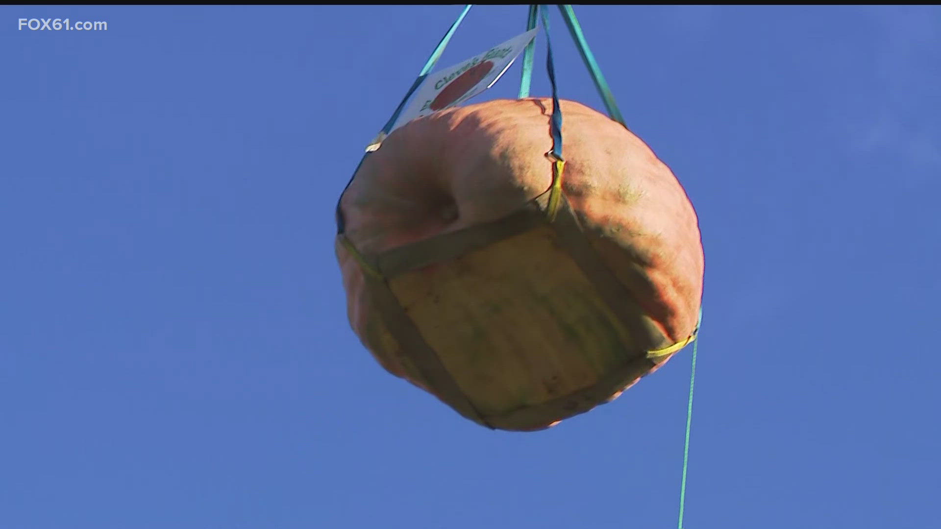1,000 pound pumpkin dropped on van at Durham Fair in Connecticut ...