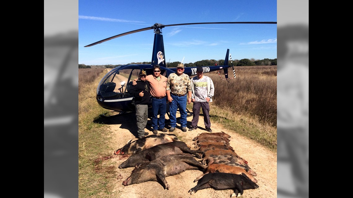 The wild boar business is booming in Texas | fox61.com