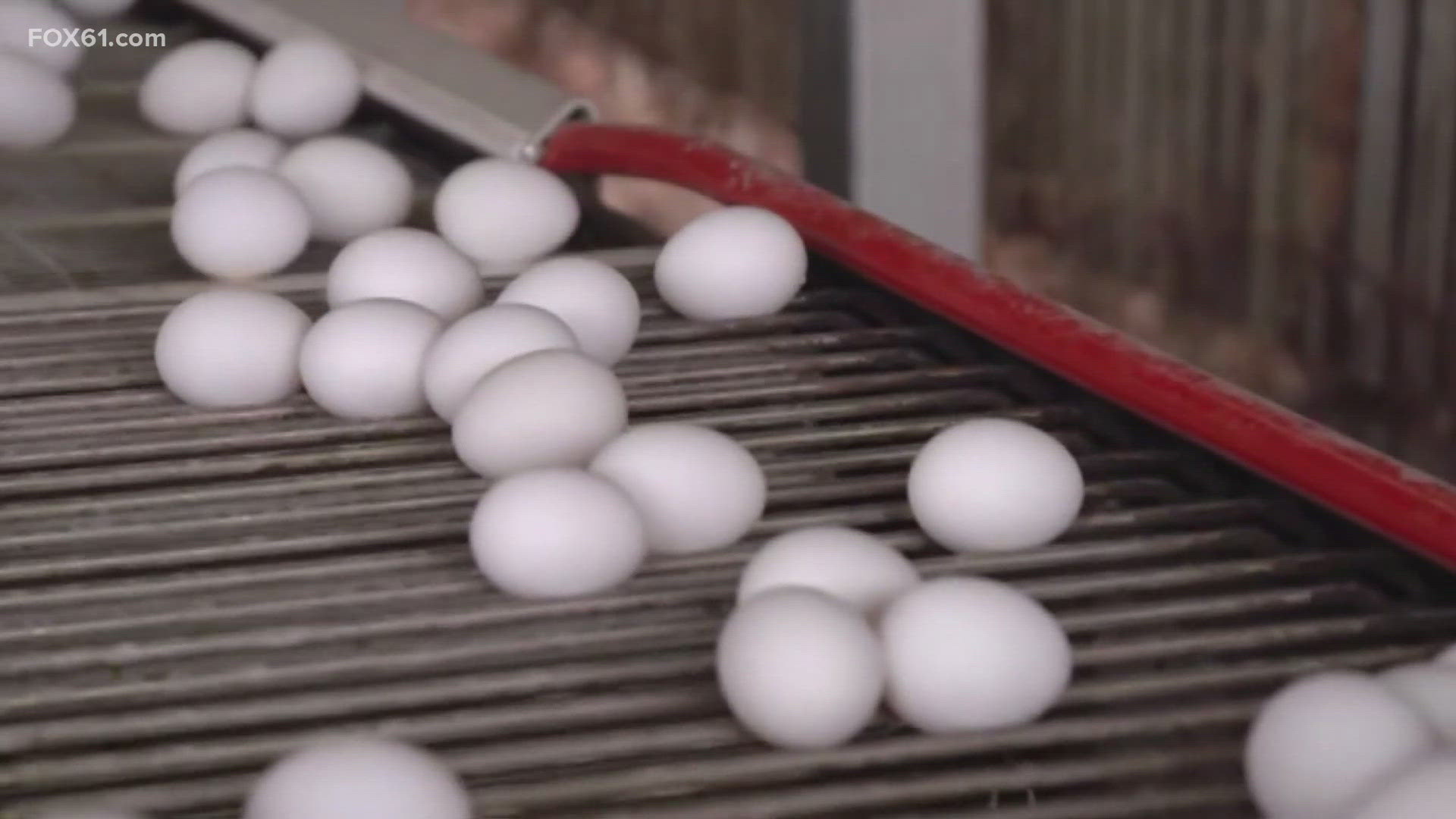 CT grocery stores try to minimize impact of rising egg prices on ...