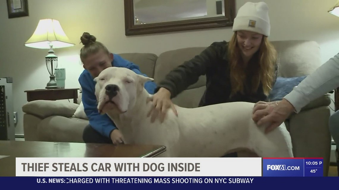 Woman reunited with pet after car stolen with dog inside | wnep.com