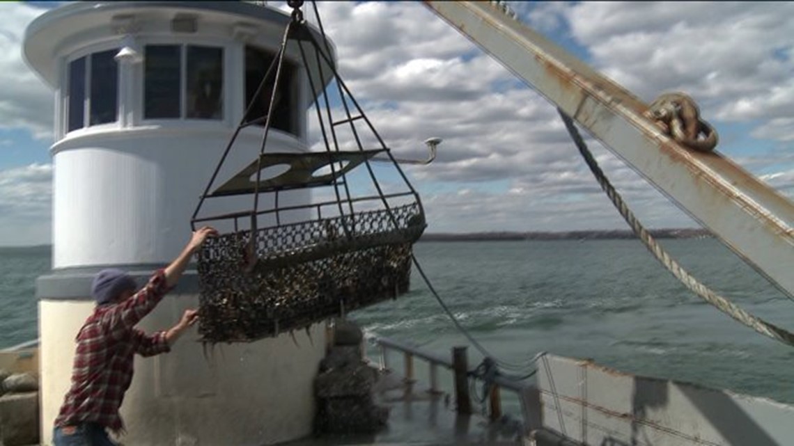 Conn. Shellfish Farmers Won’t Clam Up On New Regulations | fox61.com