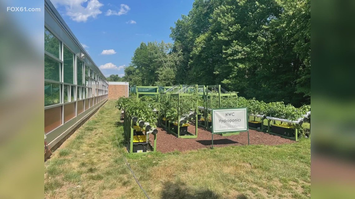 Non-profit looks to transform how Hartford gets fresh produce | fox61.com