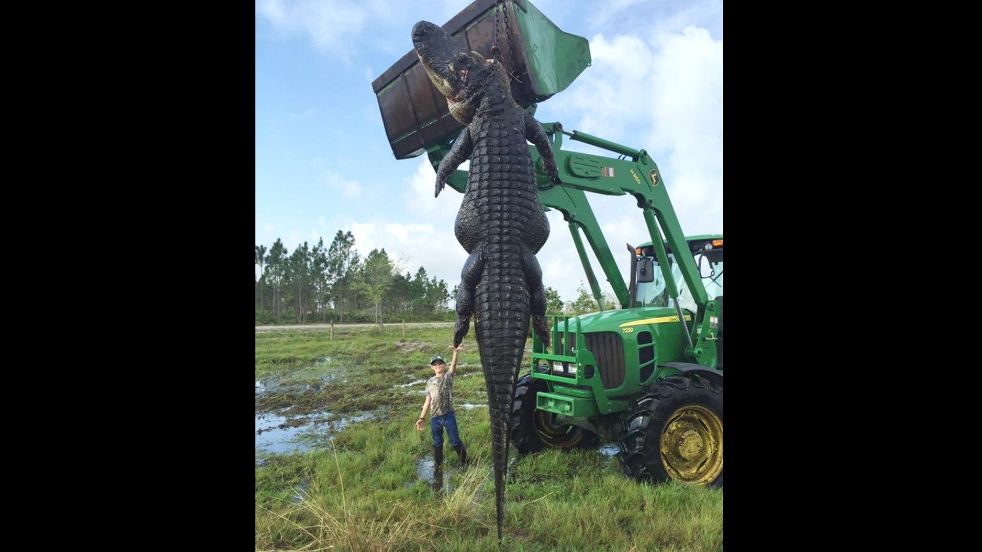Florida hunters kill massive 15-foot alligator that was snacking on ...