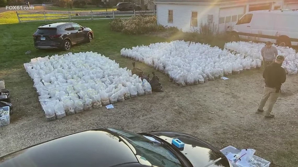 Massive drug bust finds $8.5 million worth of illegal mushrooms in ...