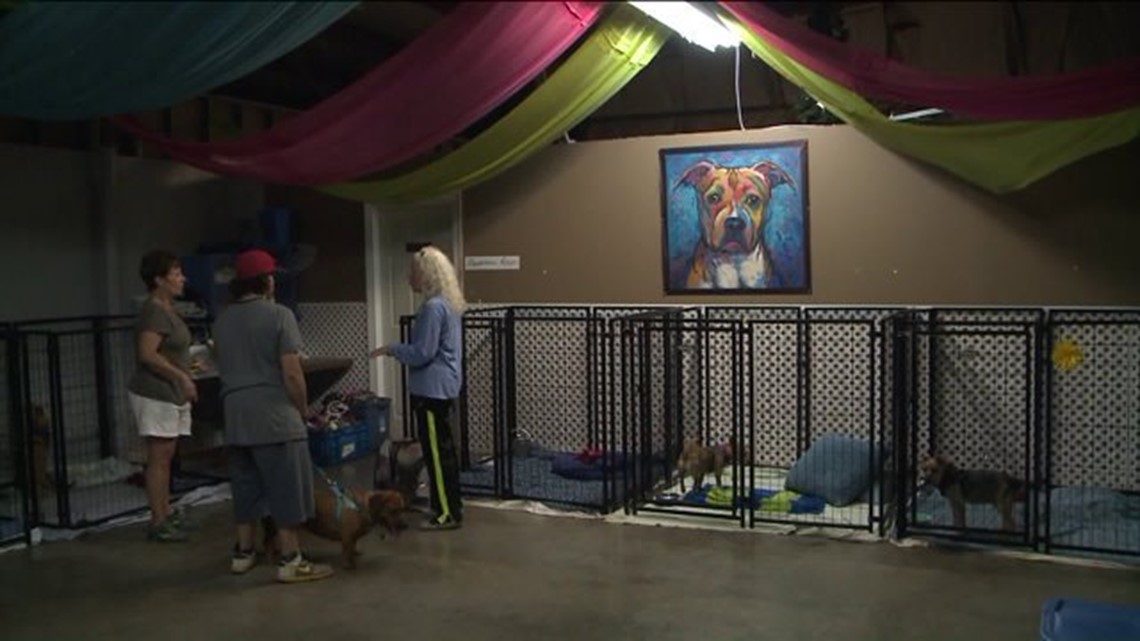 Meriden Humane Society opens its doors for transparency after director ...