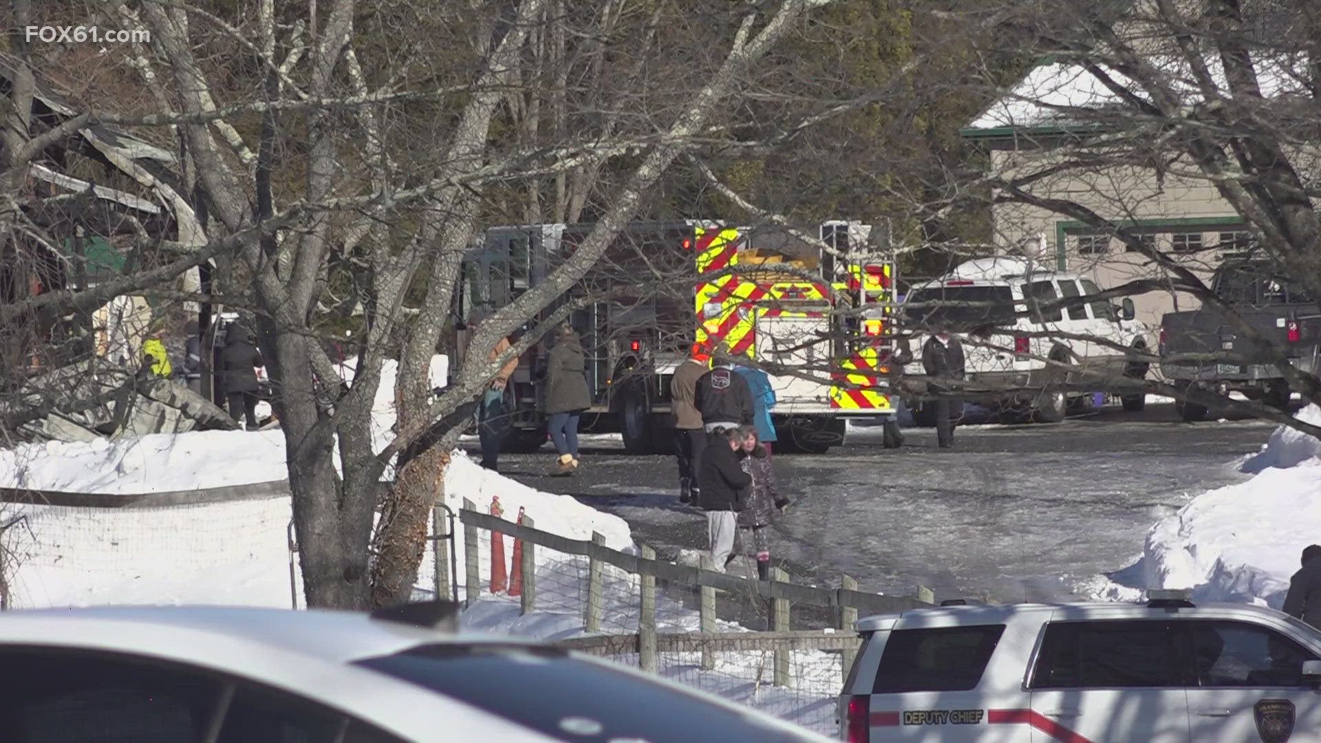Branford barn fire kills multiple animals, including several horses ...