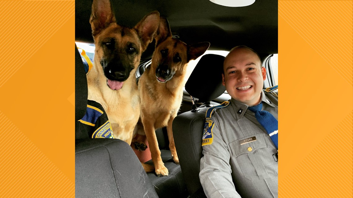 Connecticut state trooper rescues 2 dogs from a highway in Danielson ...