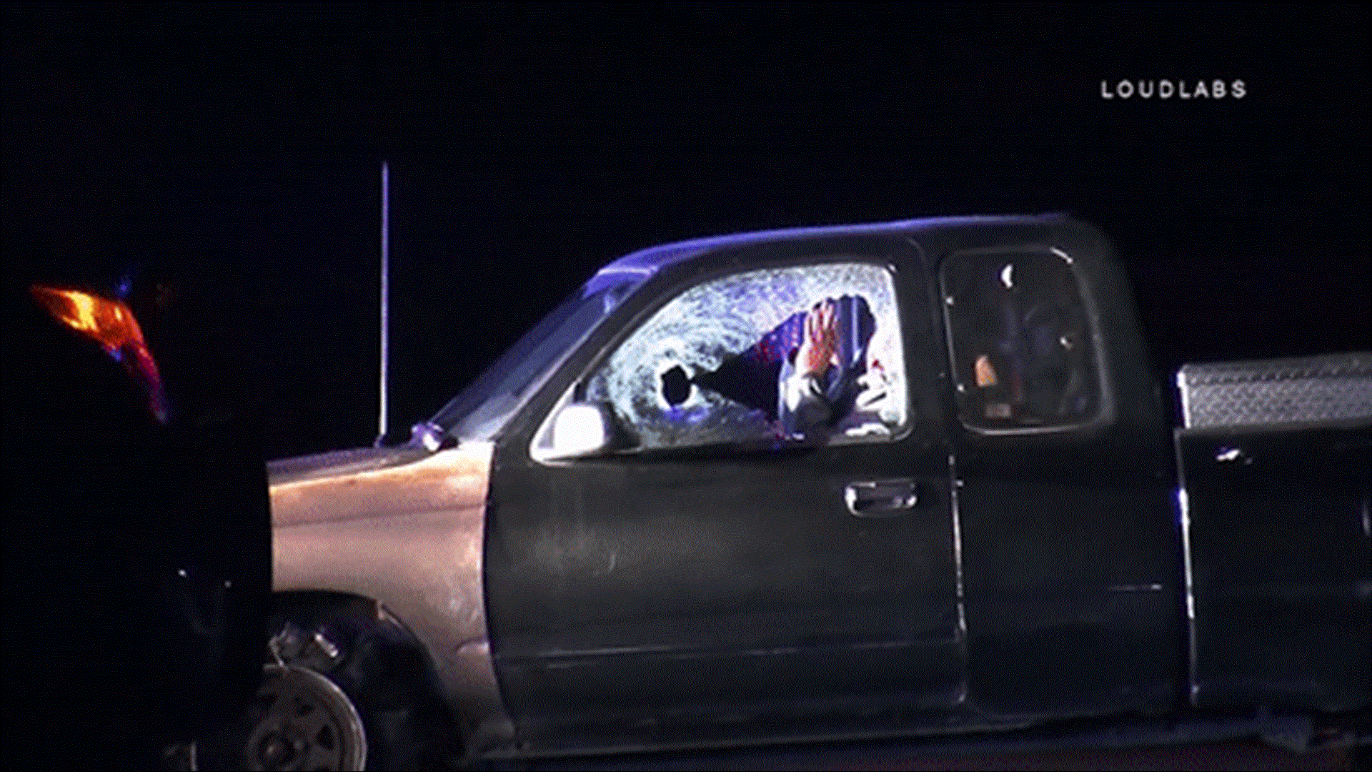 K9 jumps through smashed truck window to apprehend suspect | fox61.com