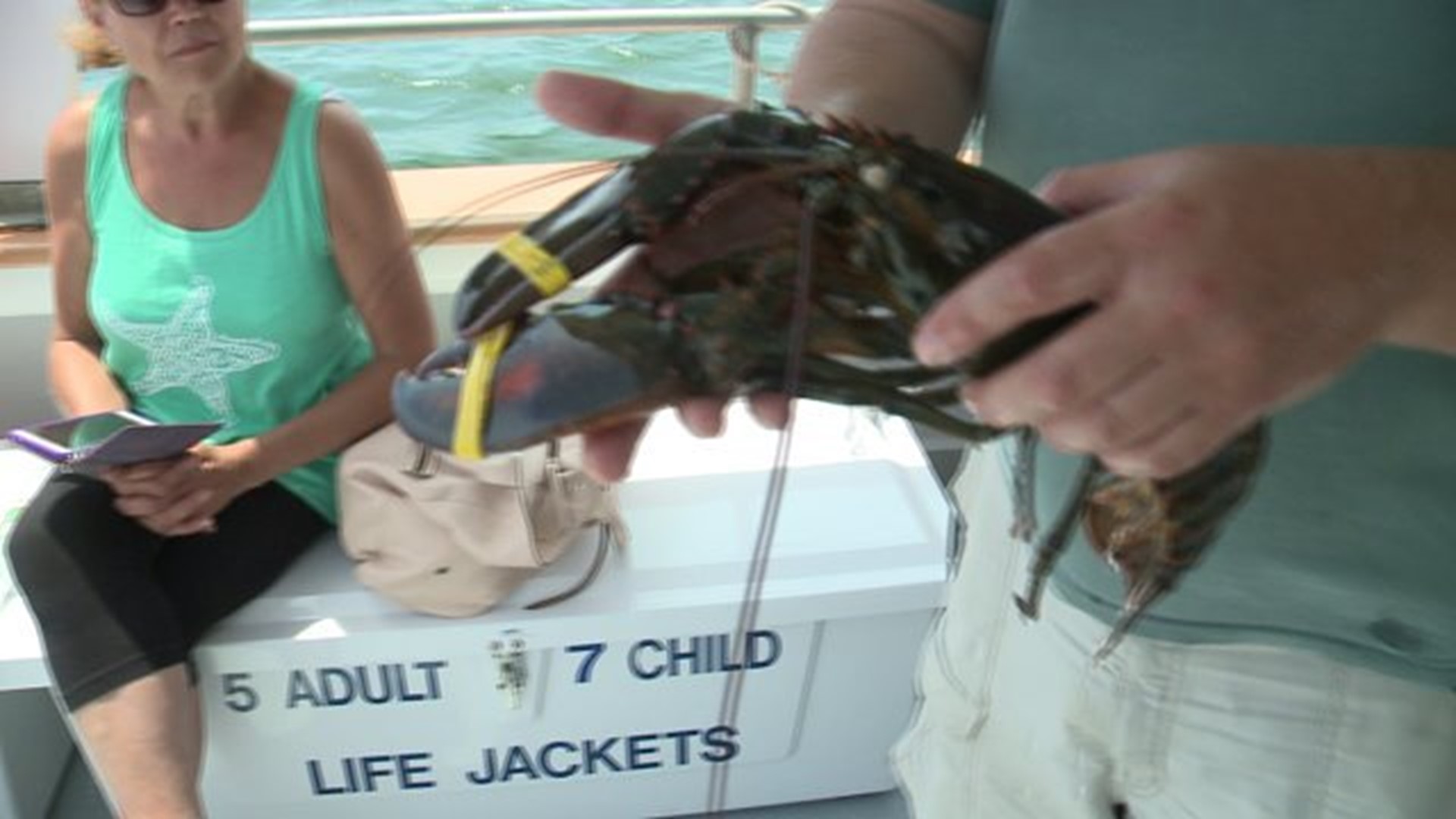 Clawing your way through the Narragansett Bay aboard The Northeastern ...