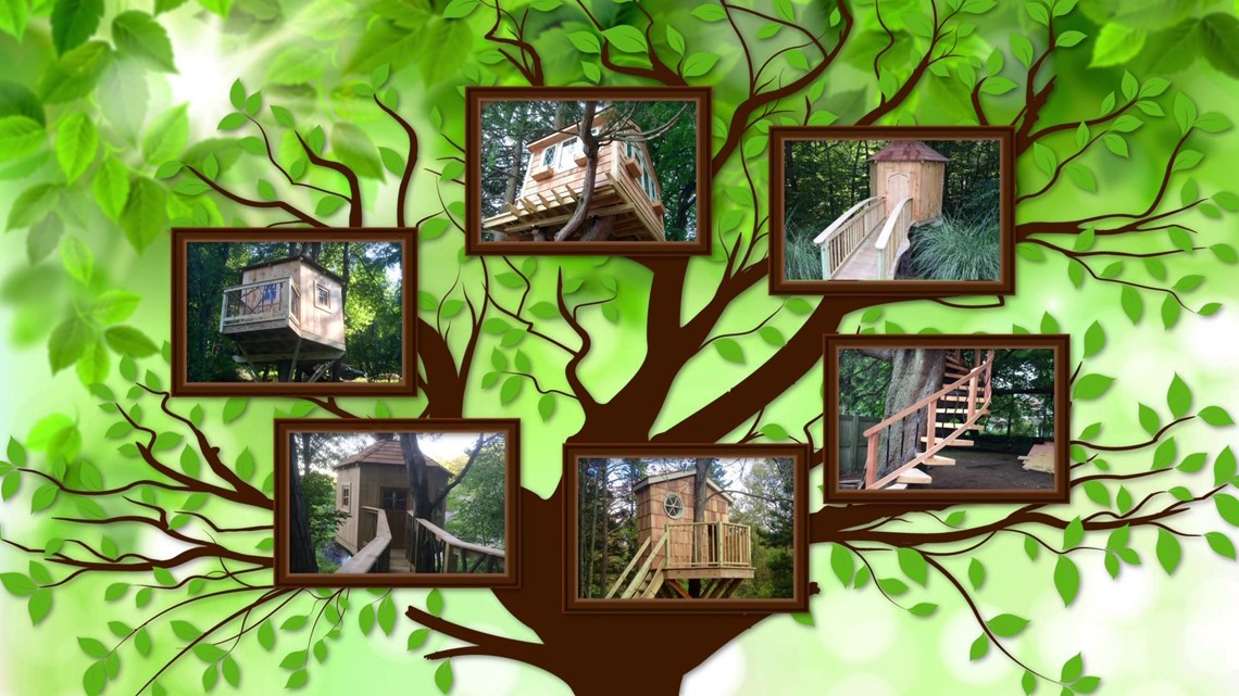 The Tree House Brothers have planted their roots up in the trees ...