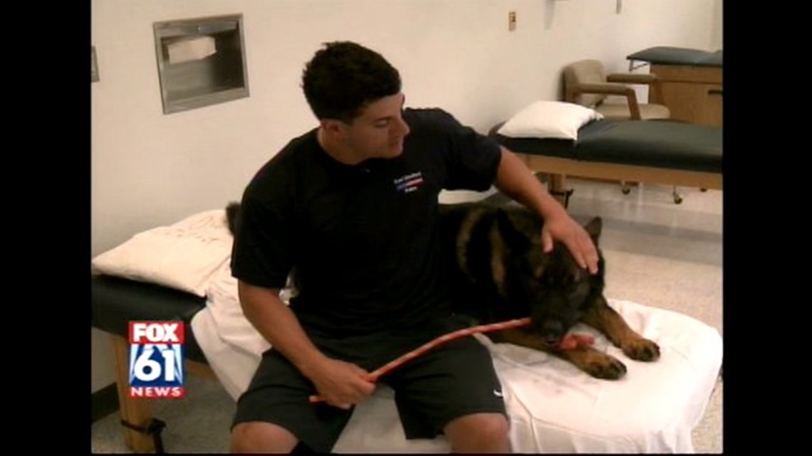 Officer Todd Mona and K9 Primo recover together | fox61.com