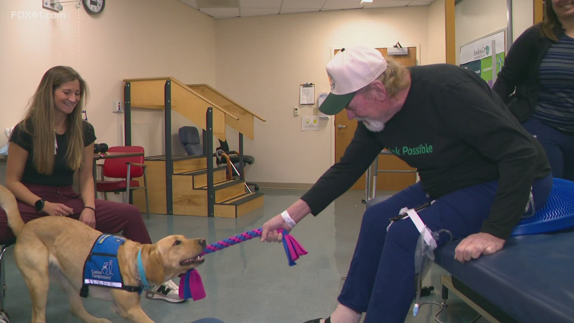 K9 Mandy, facility dog at Gaylord Hospital, is all about patient care ...