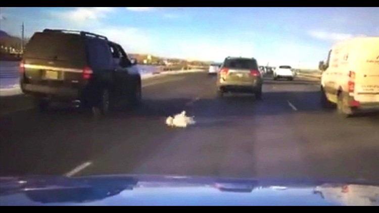 Dashcam video shows dog jumping out of moving SUV on busy interstate ...