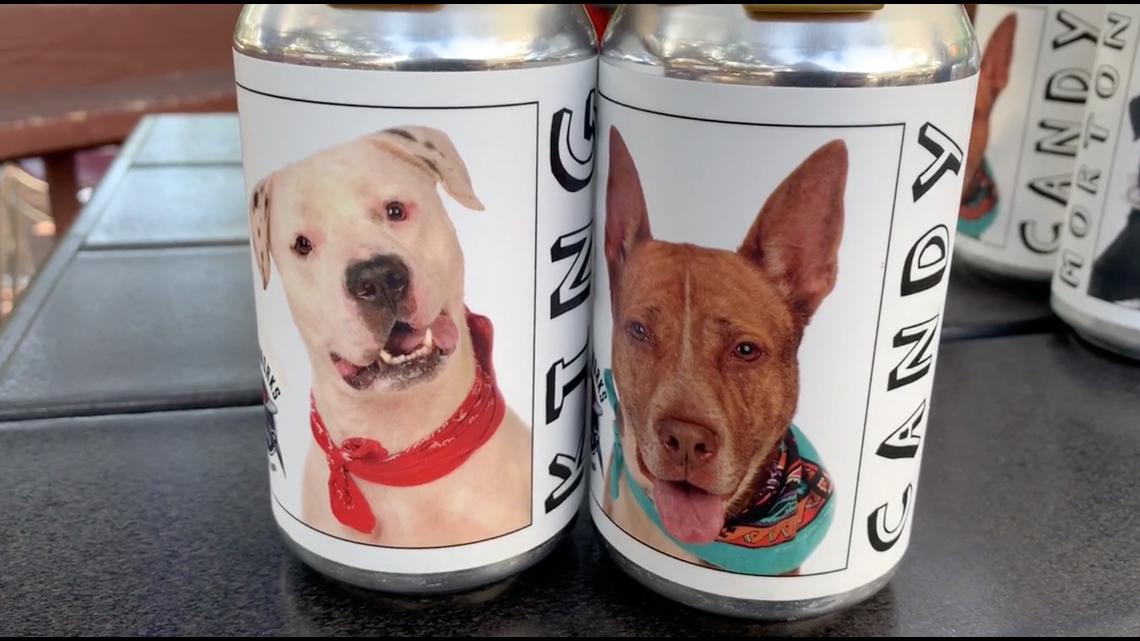 2 dogs adopted after Florida brewery features them on beer cans | fox61.com