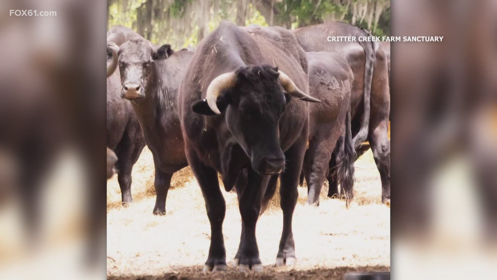 Michael Annett, who made 436 combined starts in NASCAR’s 3 national ...