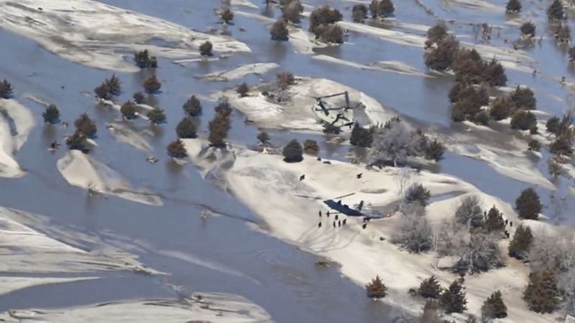 Military helicopters drop hay for cows stranded by Nebraska floodwaters ...
