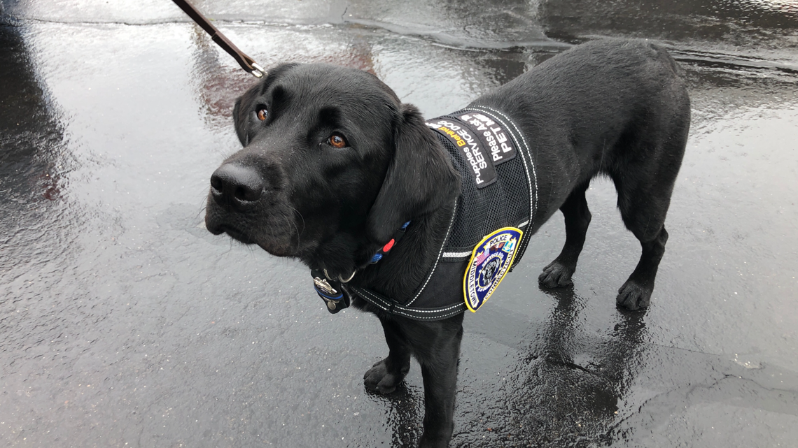 Fallen CT State Police sergeant laid to rest in Hartford | fox61.com