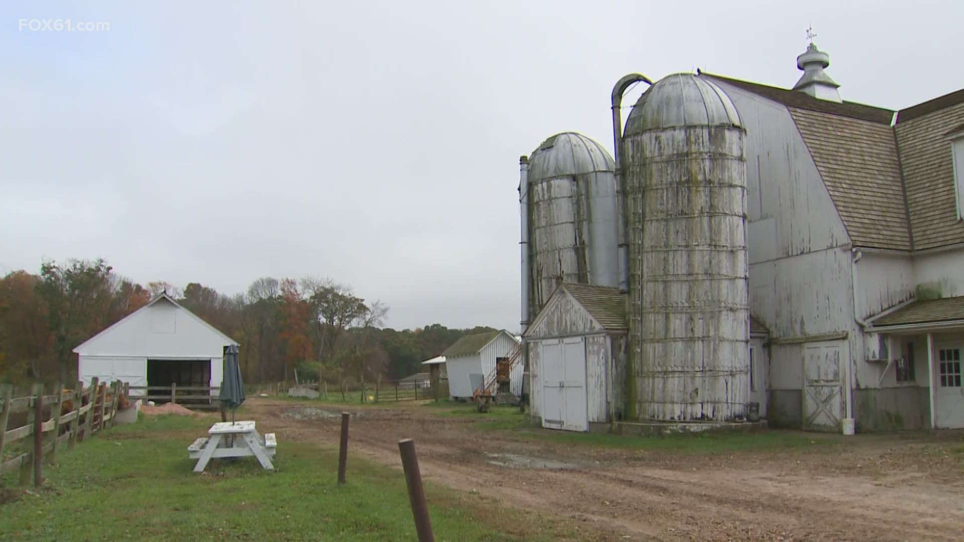 Connecticut Agriculture Day returns after two years | fox61.com