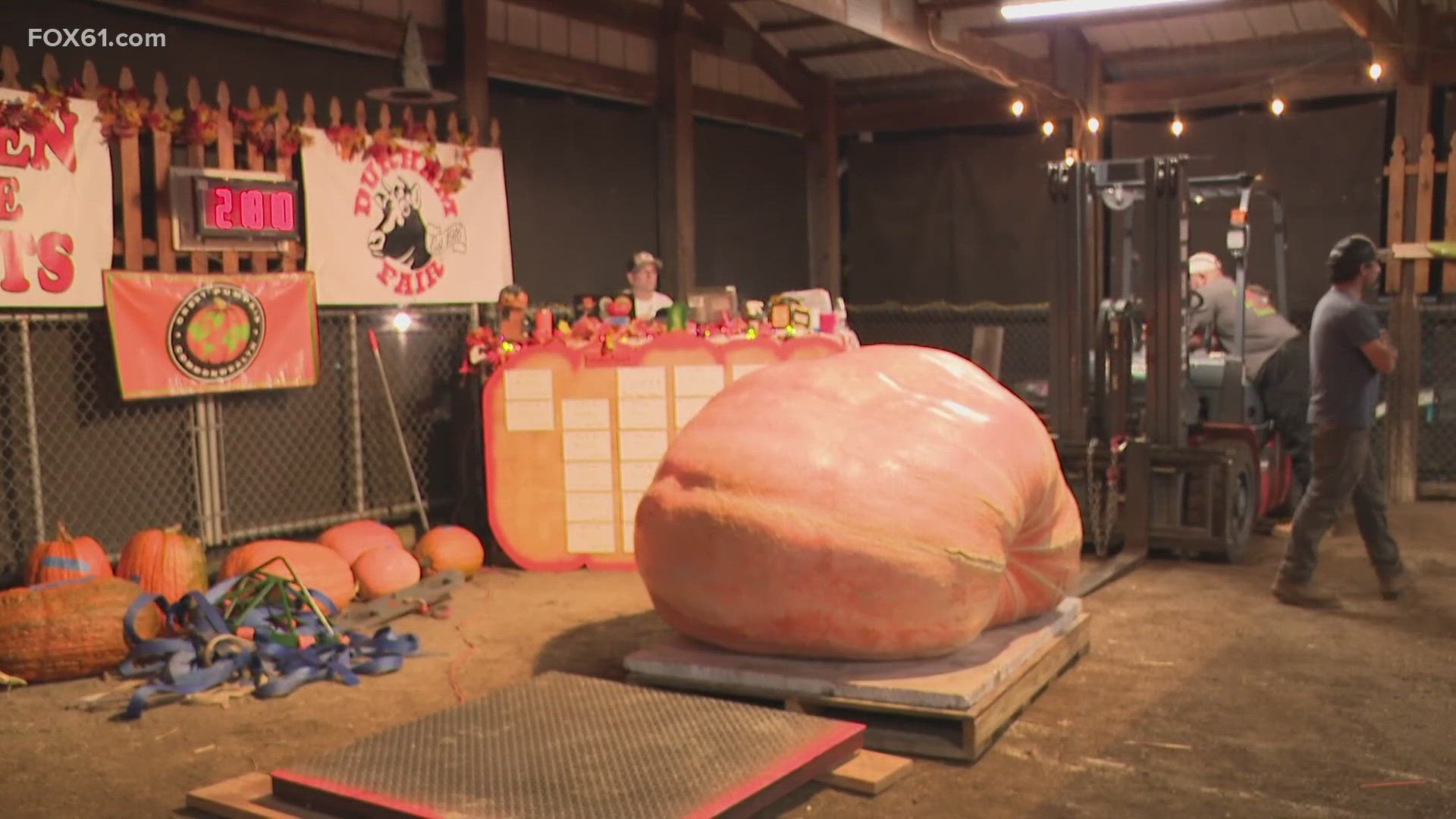 105th Durham Fair showcases record 2,181-pound pumpkin and 10,000 ...