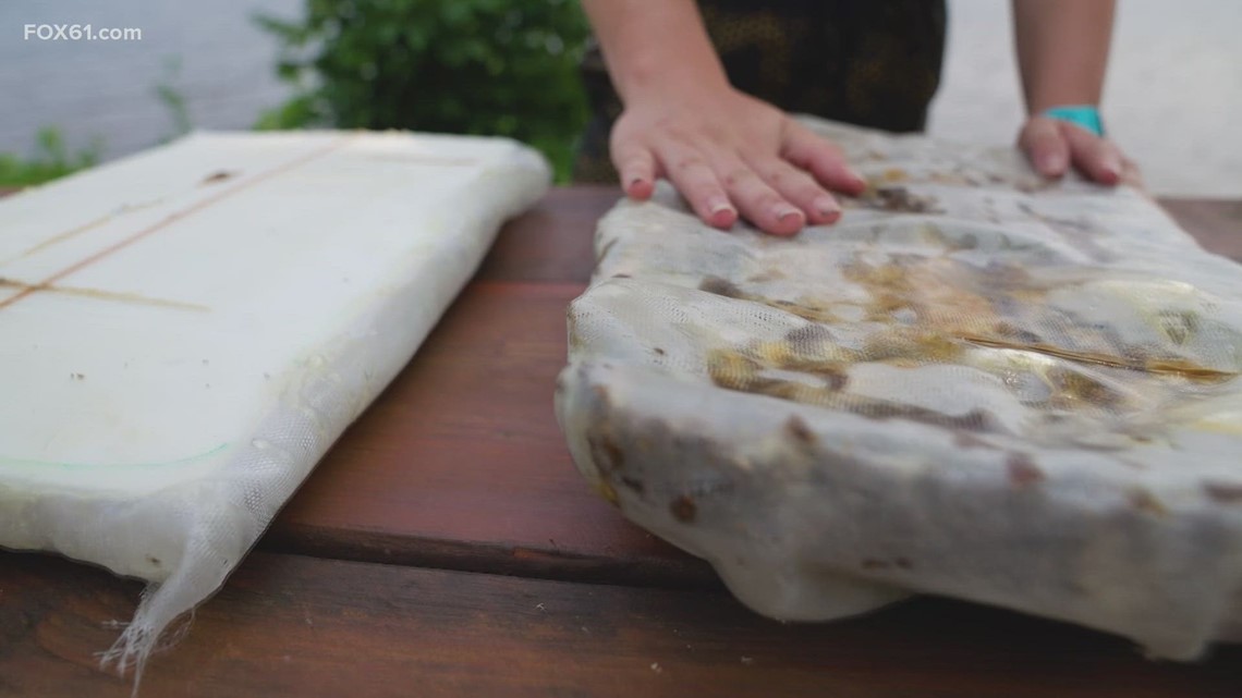Sustainable surfboard project developed by UConn grad student | fox61.com