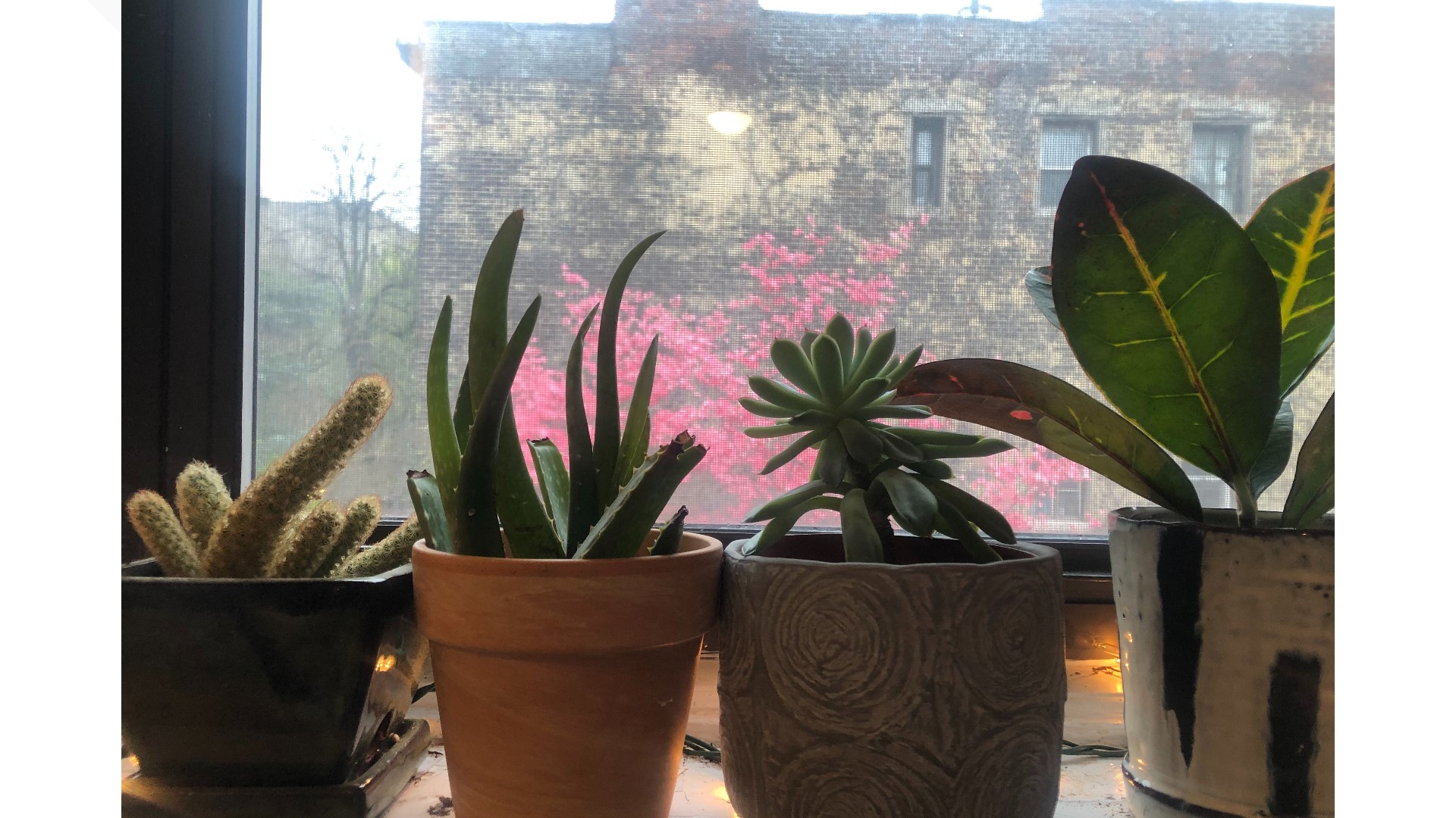 Sarah Jorgensen explains life with coronavirus and shingles | fox61.com