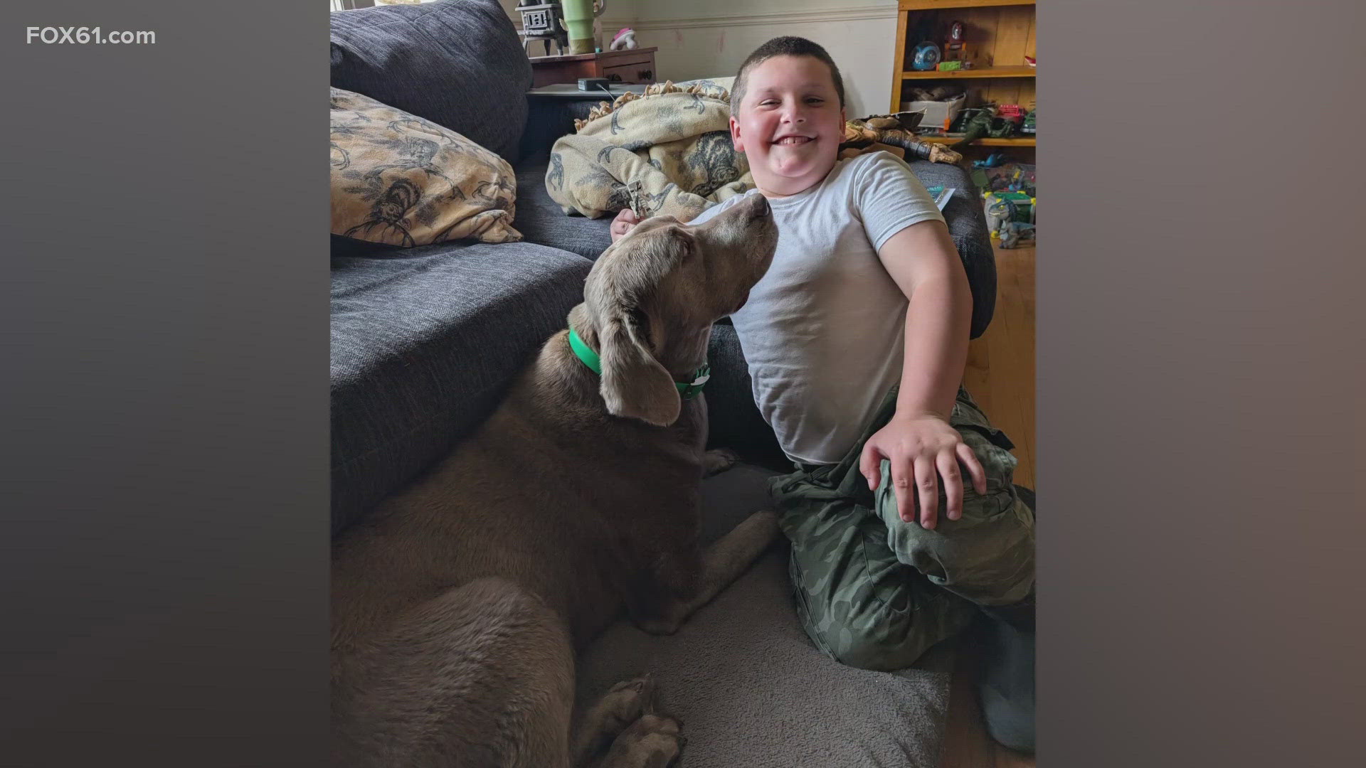 Connecticut mom celebrates her son and his canine companions during ...
