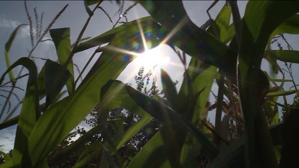 Refreshed “Connecticut Grown” campaign unveiled | fox61.com