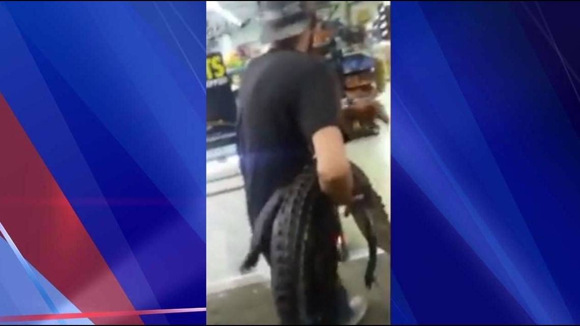 WATCH: Florida man makes beer run with gator in hand | fox61.com