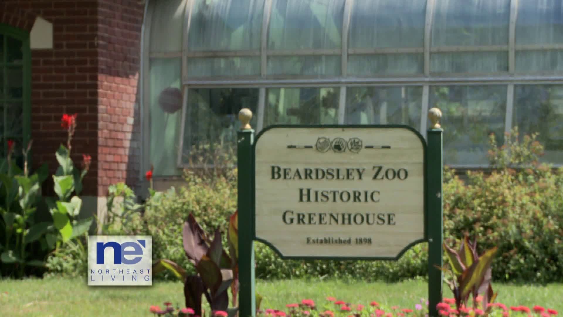 Bridgeport zoo celebrates nice weather with reduced admission for ...