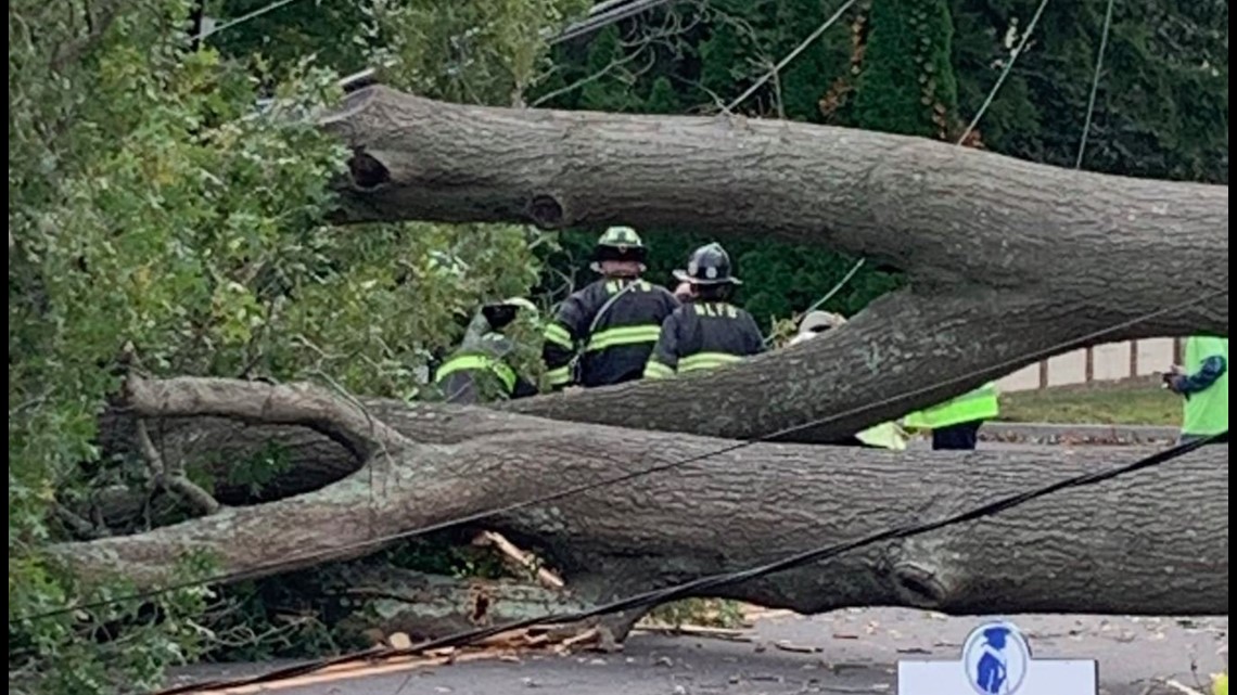 FD: Person taken to hospital after becoming trapped under tree, wires ...