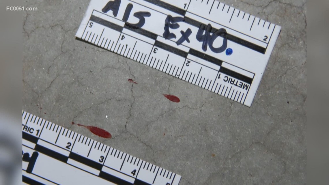 Testimony reveals DNA results of evidence seized in Jennifer Dulos ...