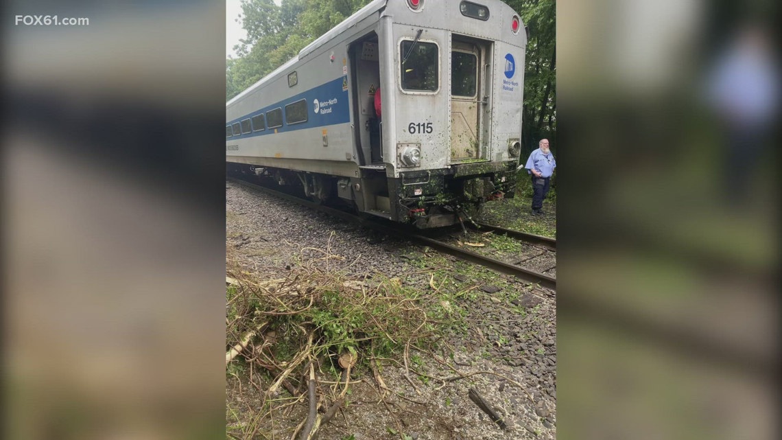 Passenger taken to hospital after Metro-North train hits tree | fox61.com