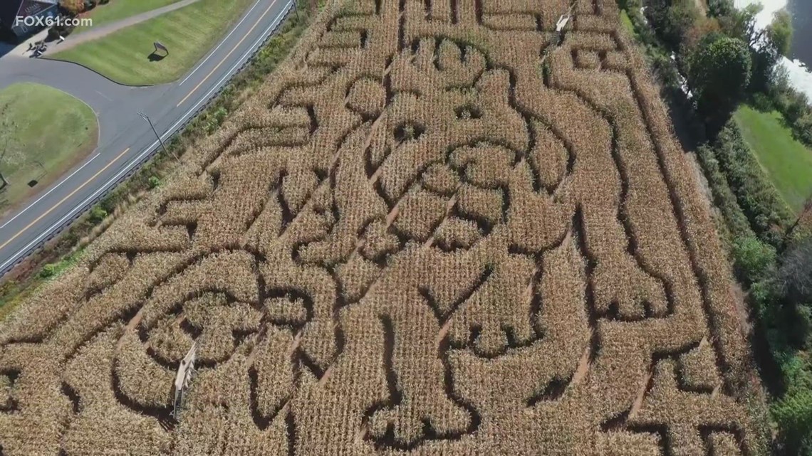 The Lyman Orchards Wizard of Oz-themed Corn Maze offers a direct path ...