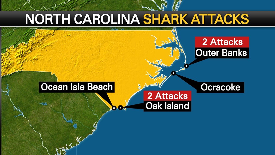 What’s behind increase in shark attacks off the Carolinas? | fox61.com
