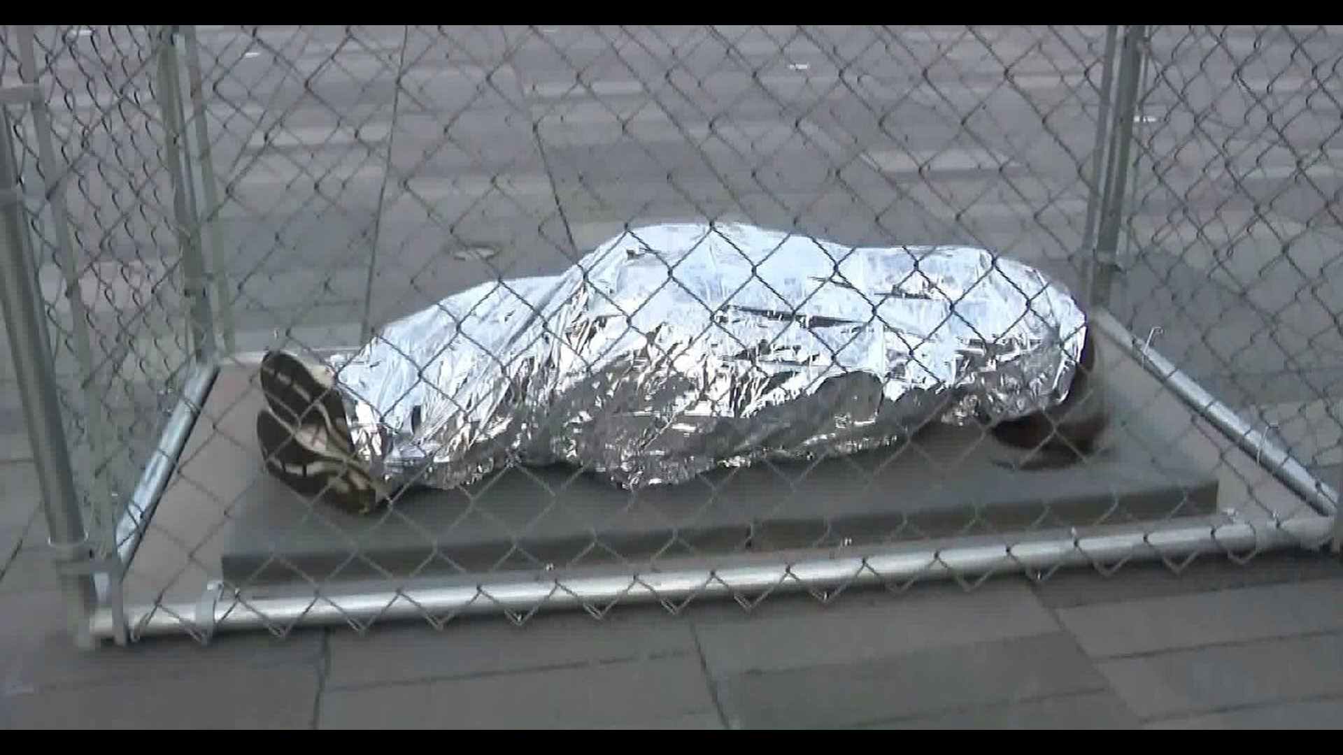 Disturbing installations depicting crying children in cages pop up ...