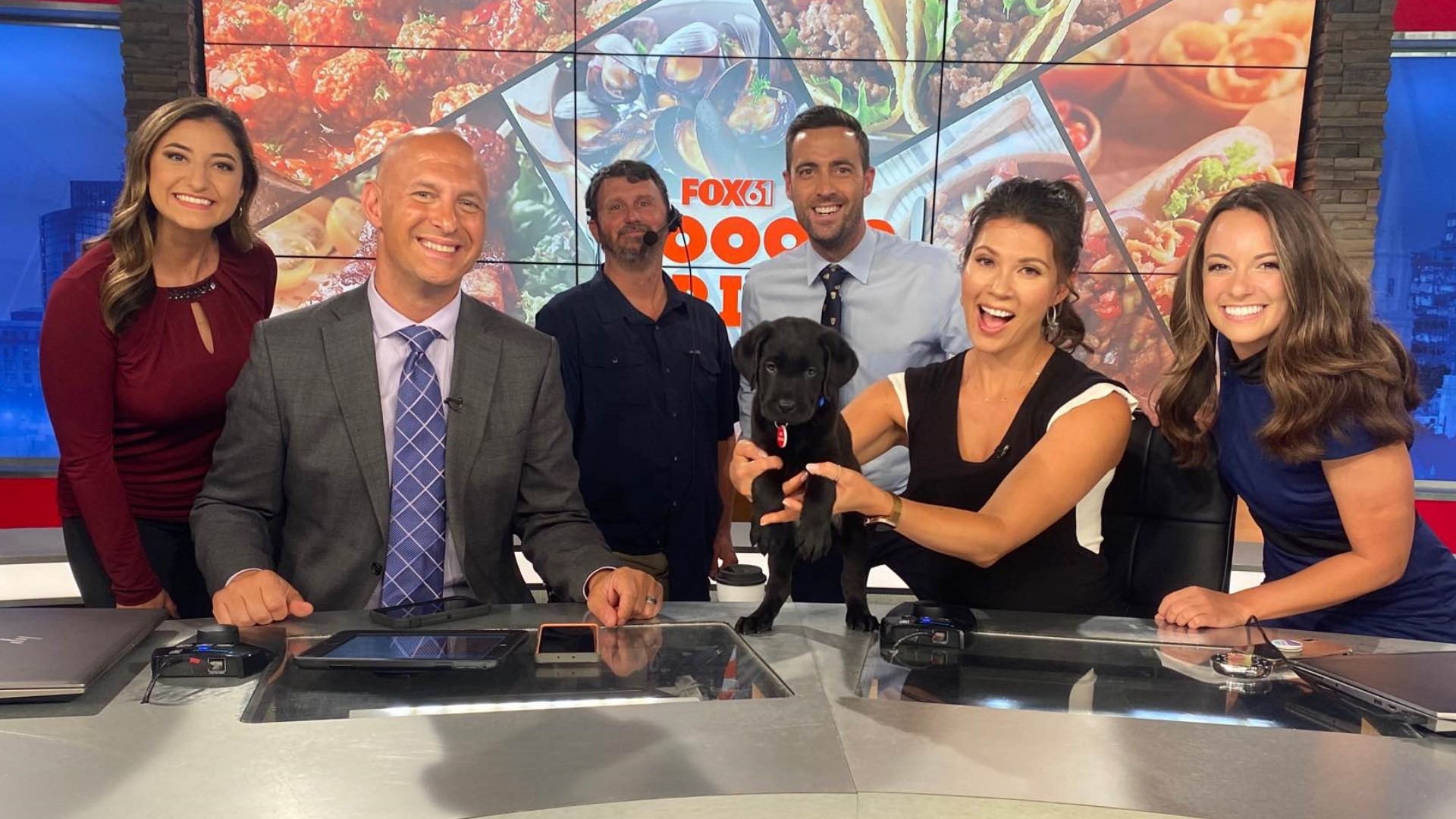 FOX61 viewers vote for name of NEADS service dog in training | fox61.com