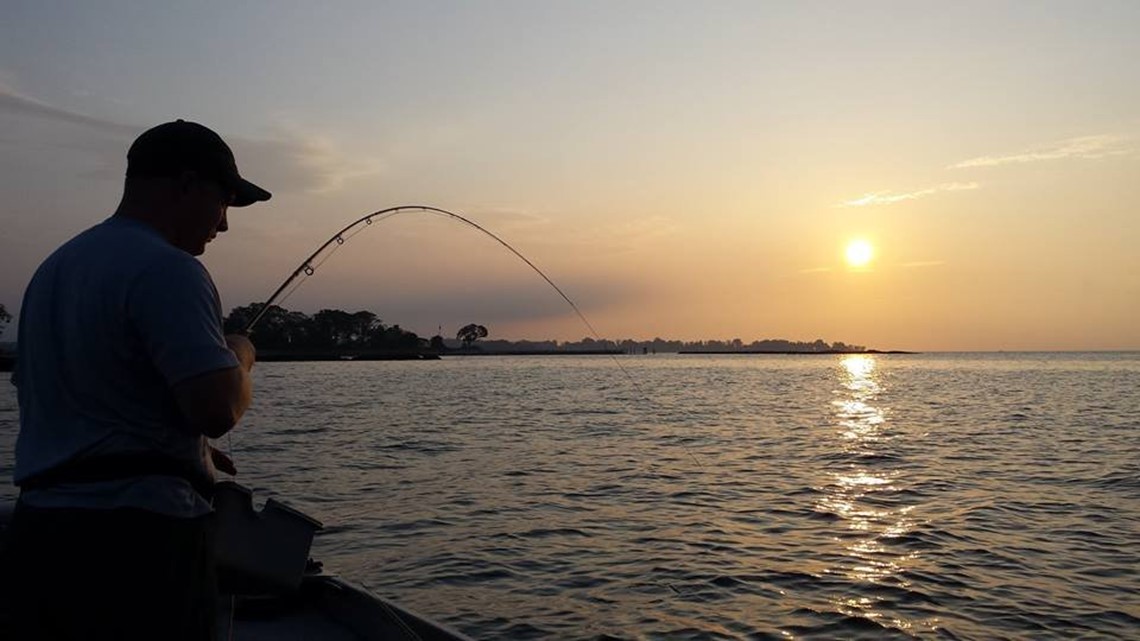 Connecticut stocking thousands of popular Channel Catfish | fox61.com