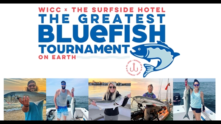 Surfside Hotel Bluefish Tournament expands to new waters for 43rd year ...